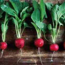 Yenidünya meyvesi hangi hastalıklara iyi gelir? Yenidünya yaprağı faydaları! - Haber 7 SAĞLIK