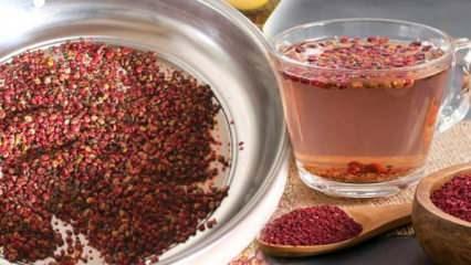 Sumak ekşisi nedir? Evde sumak ekşisi nasıl yapılır? - Yemek Haberleri