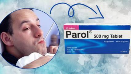 Levmont nedir ve ne için kullanılır? Levmont yan etkileri! Levmont ...